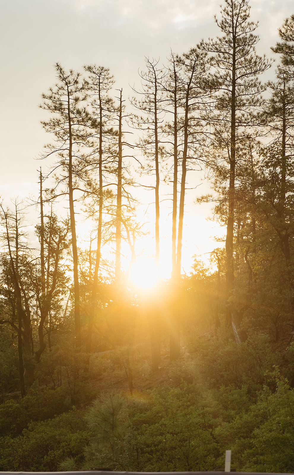 Young, Arizona - Discover Gila County