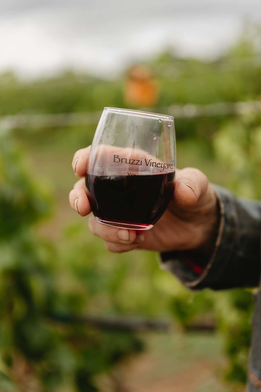 Young, Arizona - Discover Gila County