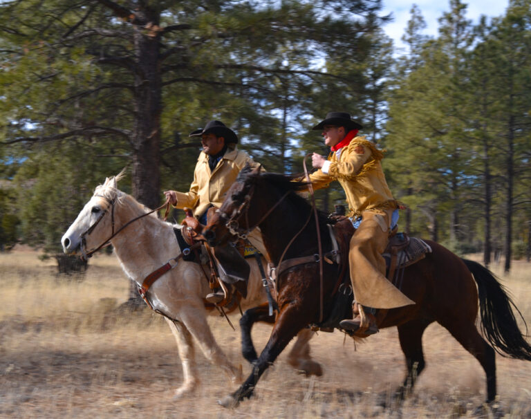 50 Things to Do - Discover Gila County