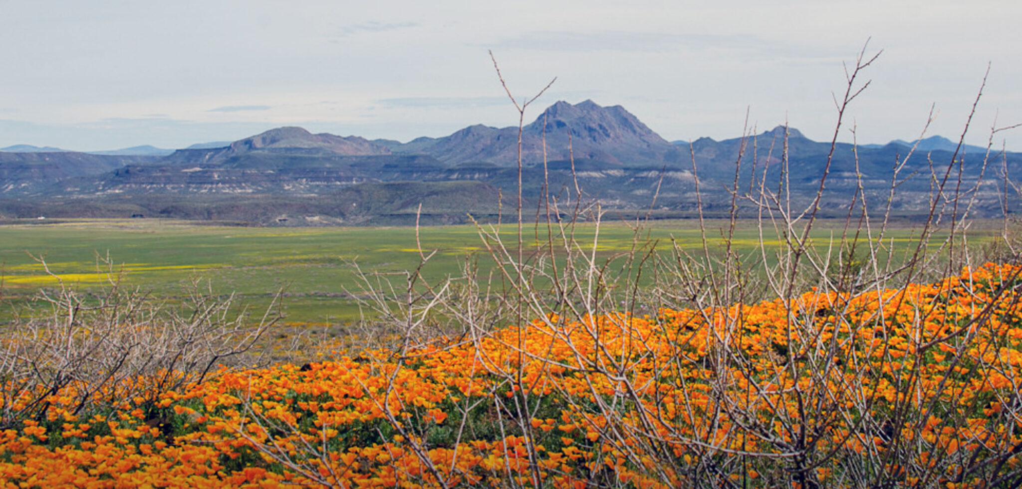 50 Things to Do - Discover Gila County