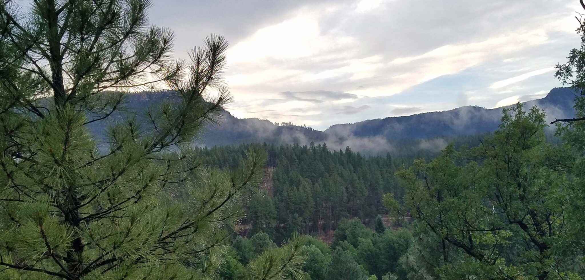 Things to Do in Christopher Creek - Discover Gila County
