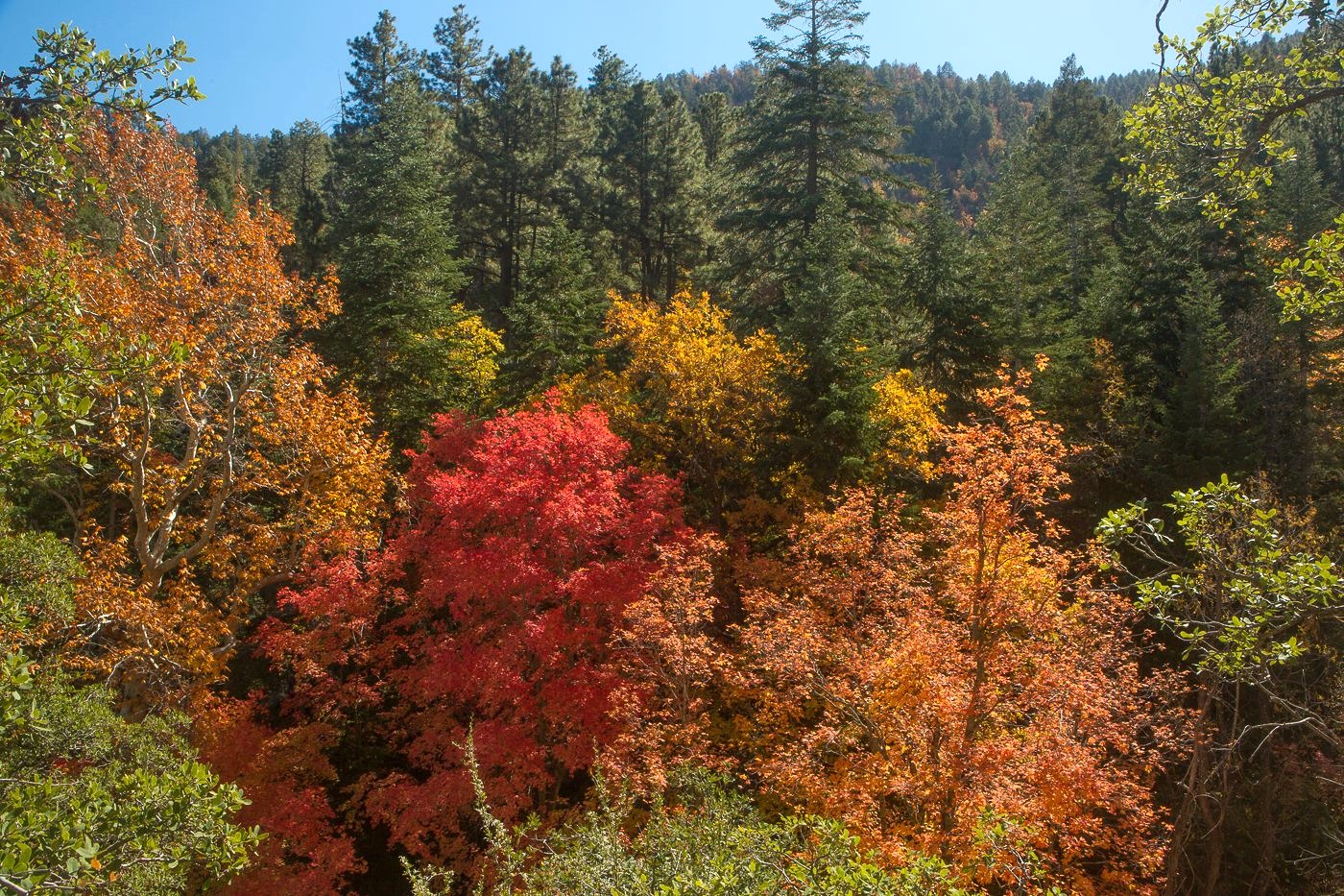 Apache Trail - Discover Gila County