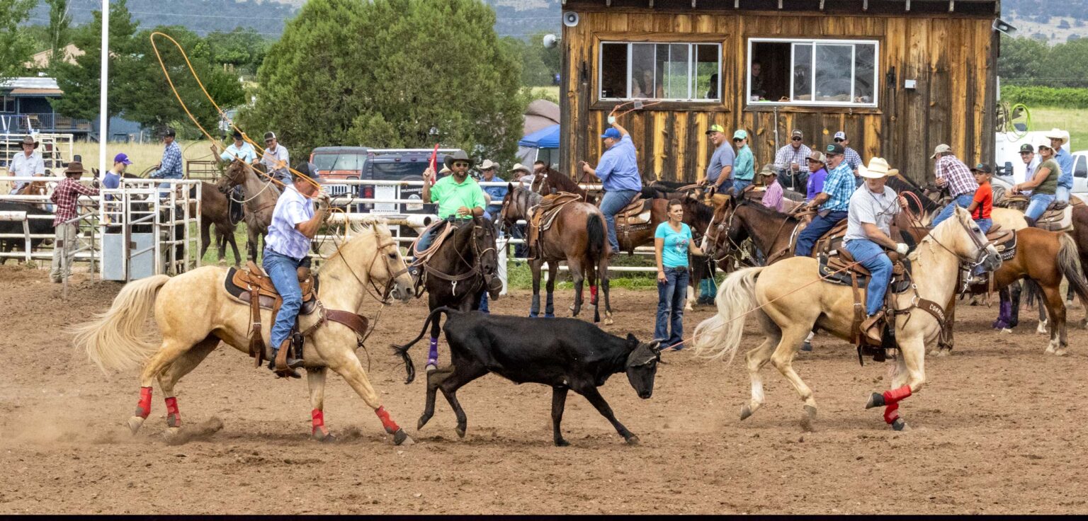 Young, Arizona - Discover Gila County
